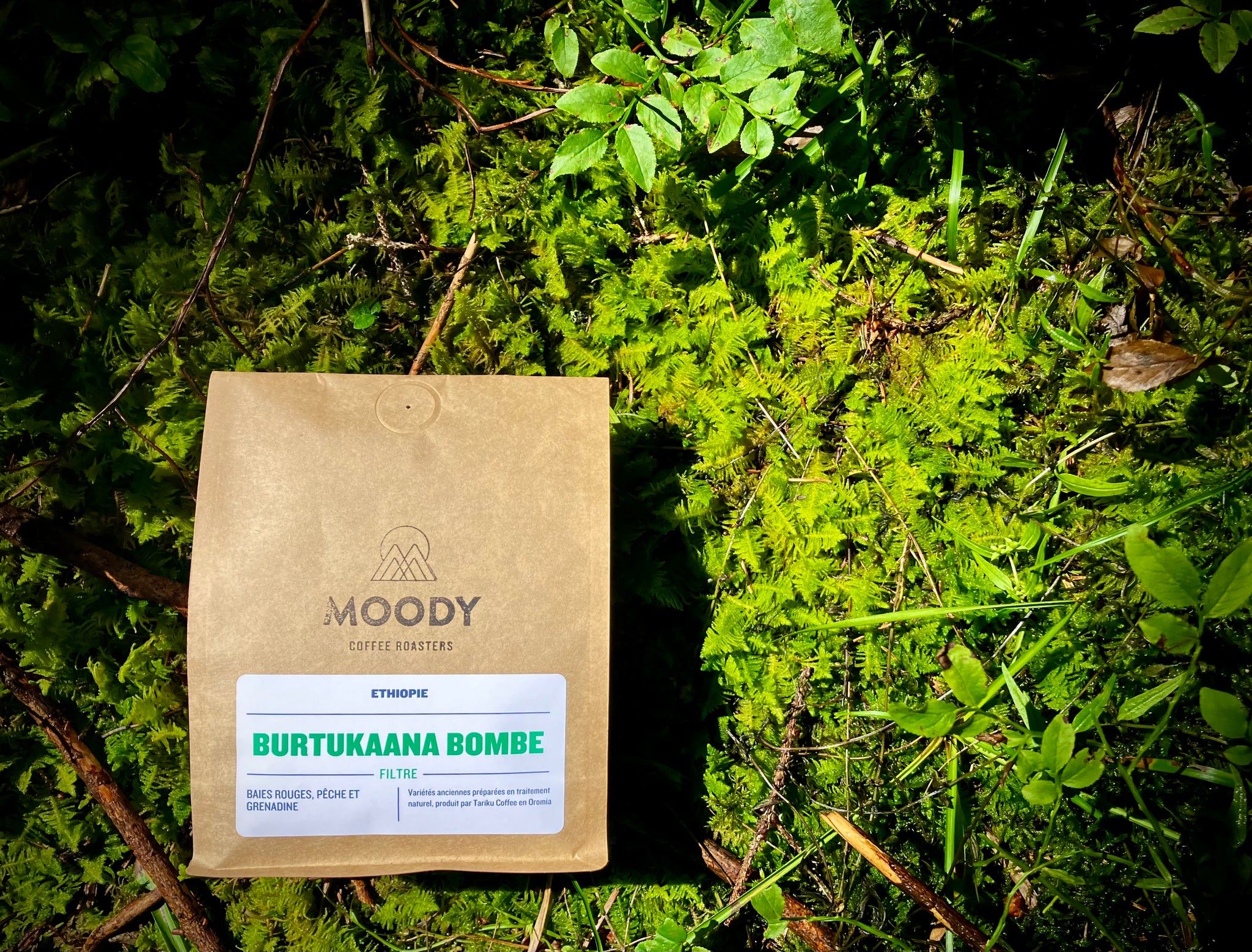 Moody Coffee Roasters Chamonix
